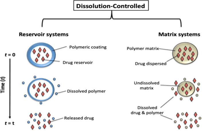 NOVEL DRUG DELIVERY SYSTEM - Healthcare Outsourcing Services (BPO)