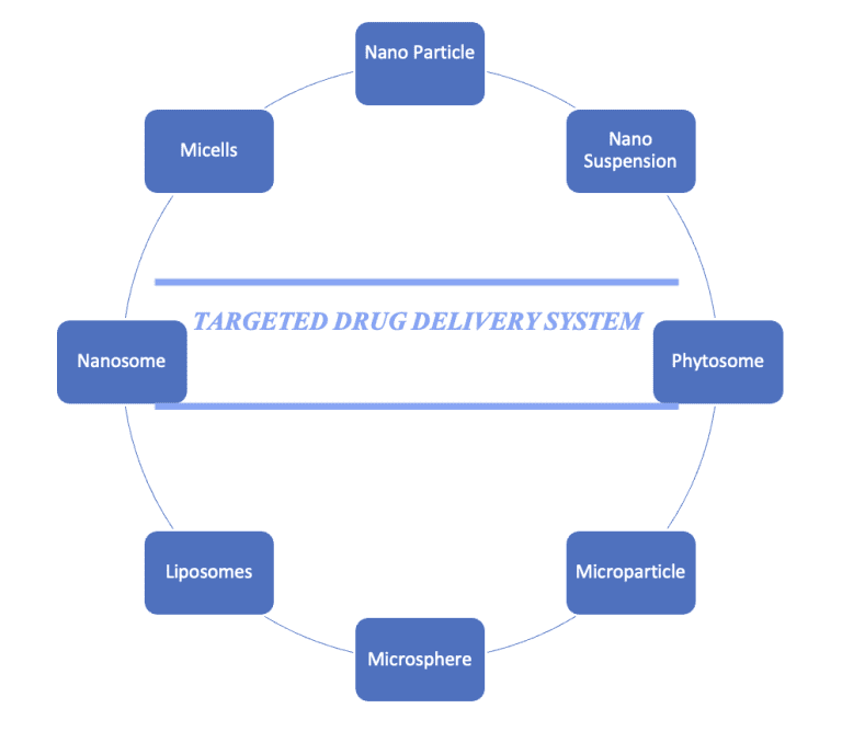 NOVEL DRUG DELIVERY SYSTEM - Healthcare Outsourcing Services (BPO)
